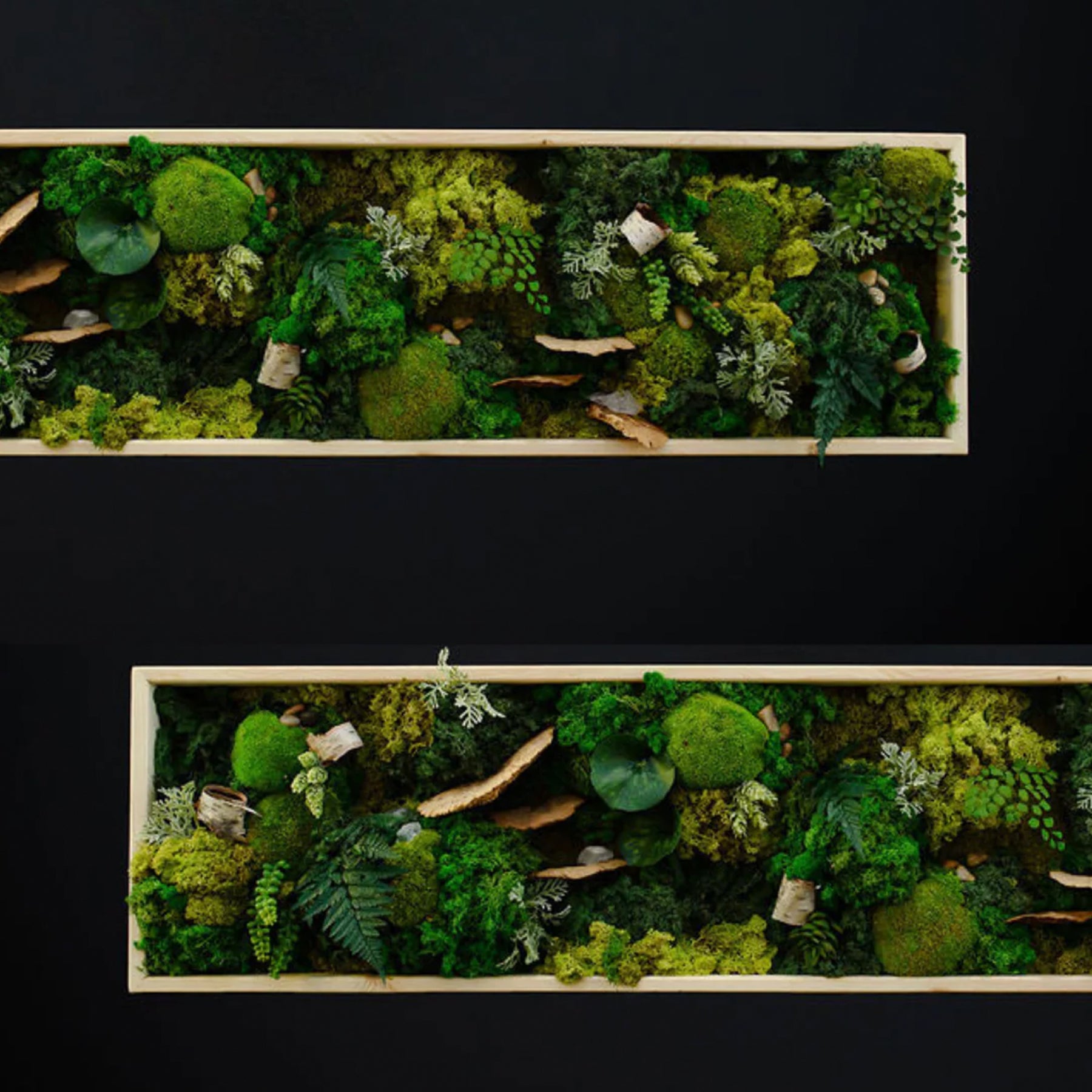 Moss Wall Kit – The Botaness