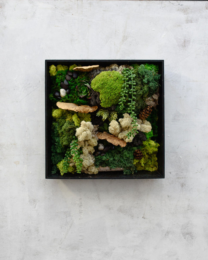 Moss Wall Art – The Botaness