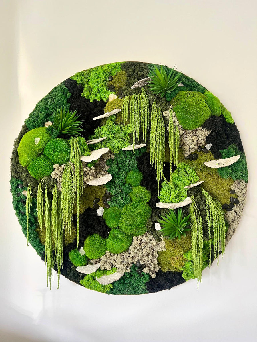Moss Wall Art – The Botaness